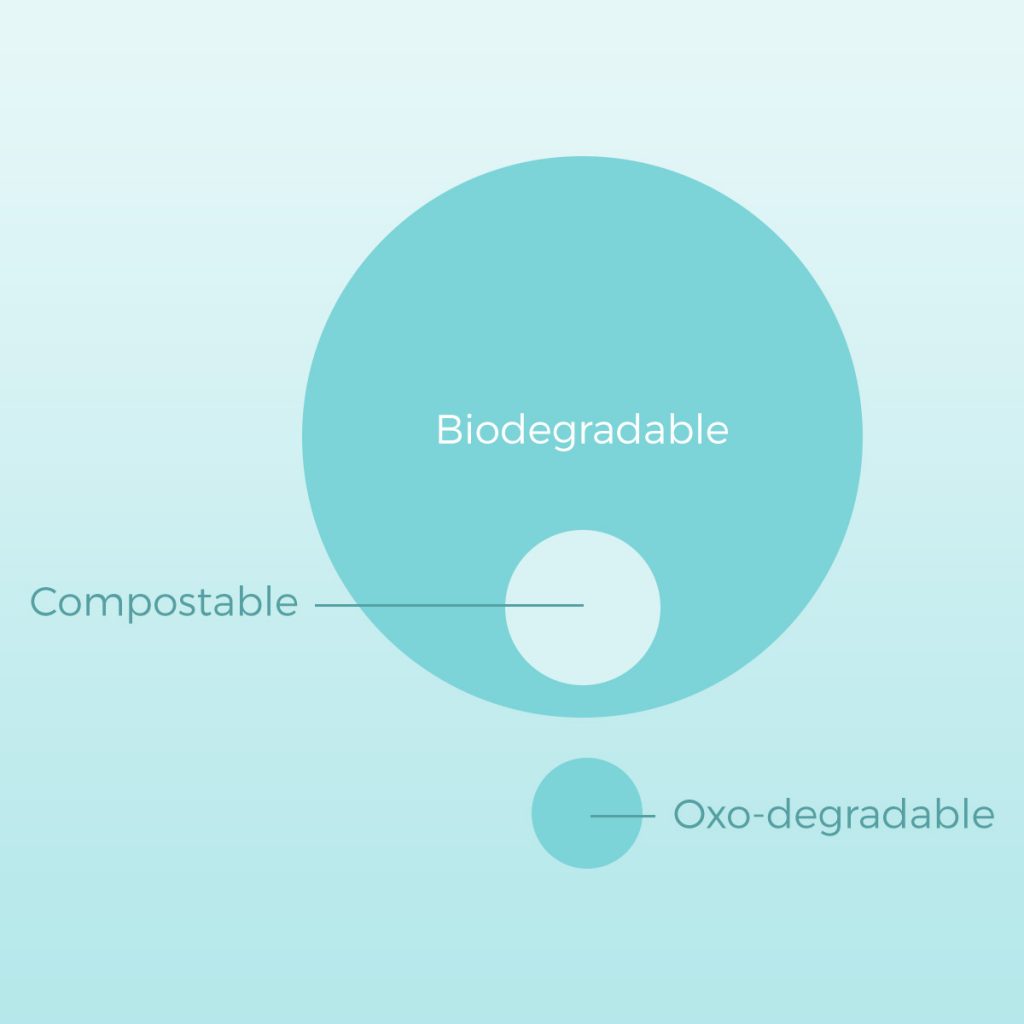 Biodegradable Sanitary Pads: Everything You Need To Know
