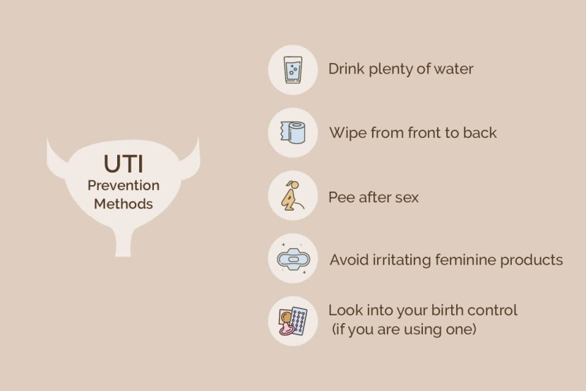 Profiling the most prolific (micro) pest: Urinary Tract Infection (UTI ...